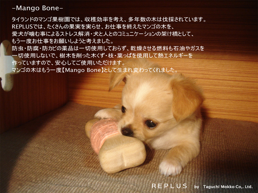 mango_bone_example